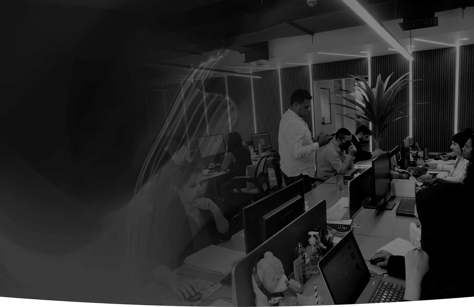 Meet the Marc Ellis Team